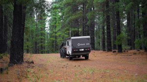 Solitaire - Offline Campers